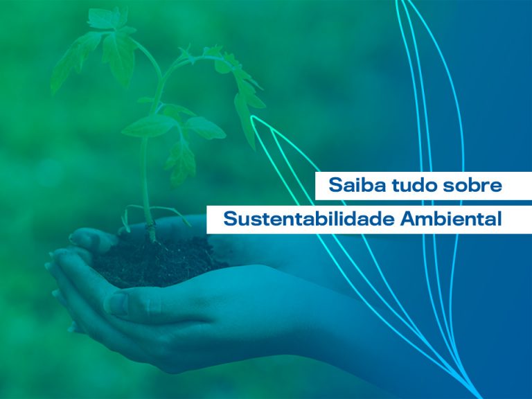 Sustentabilidade Ambiental: entenda tudo sobre o assunto